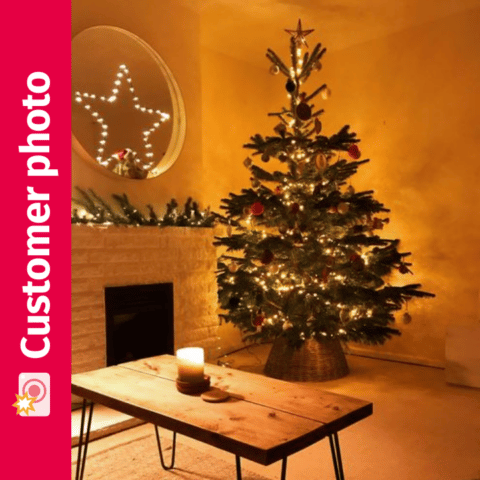 Buy Nordman Fir Christmas Trees Online - Send Me a Christmas Tree