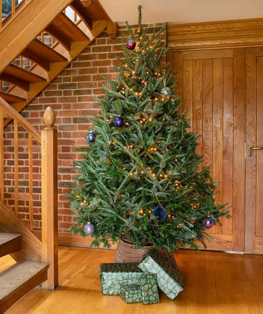 Order a Christmas Tree Online, Free Delivery - Send Me a Christmas Tree