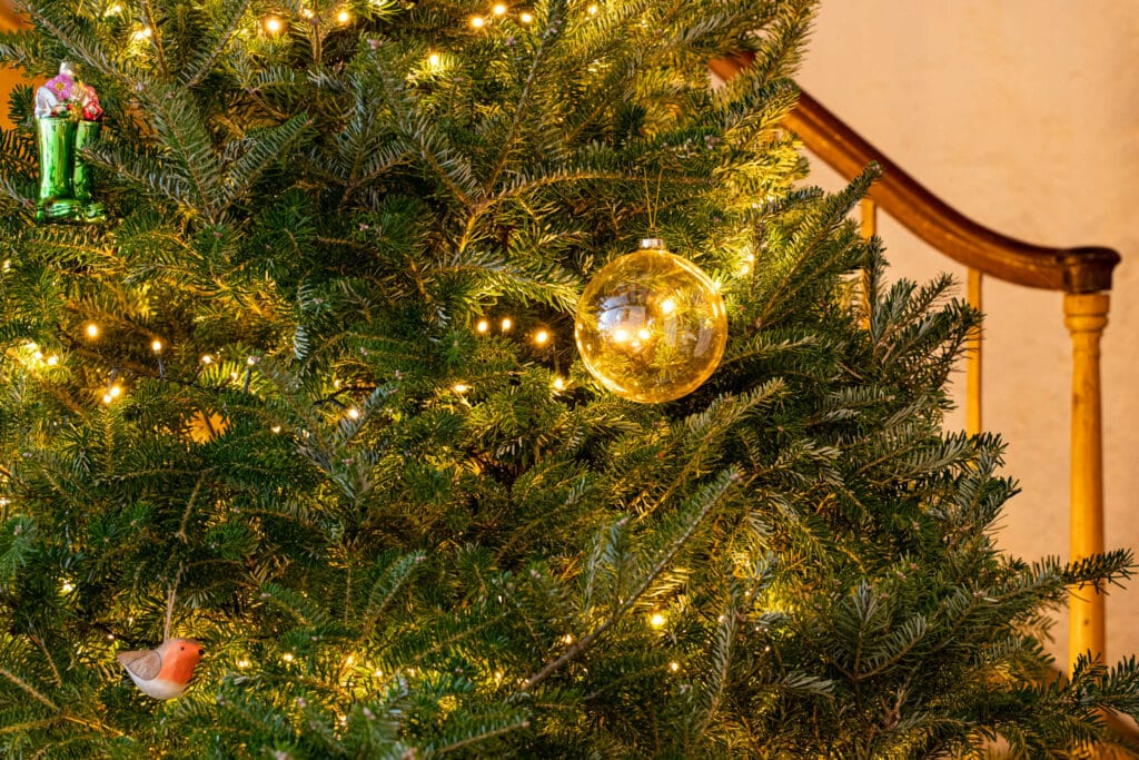 What to do with your tree when it first arrives - Send Me a Christmas Tree